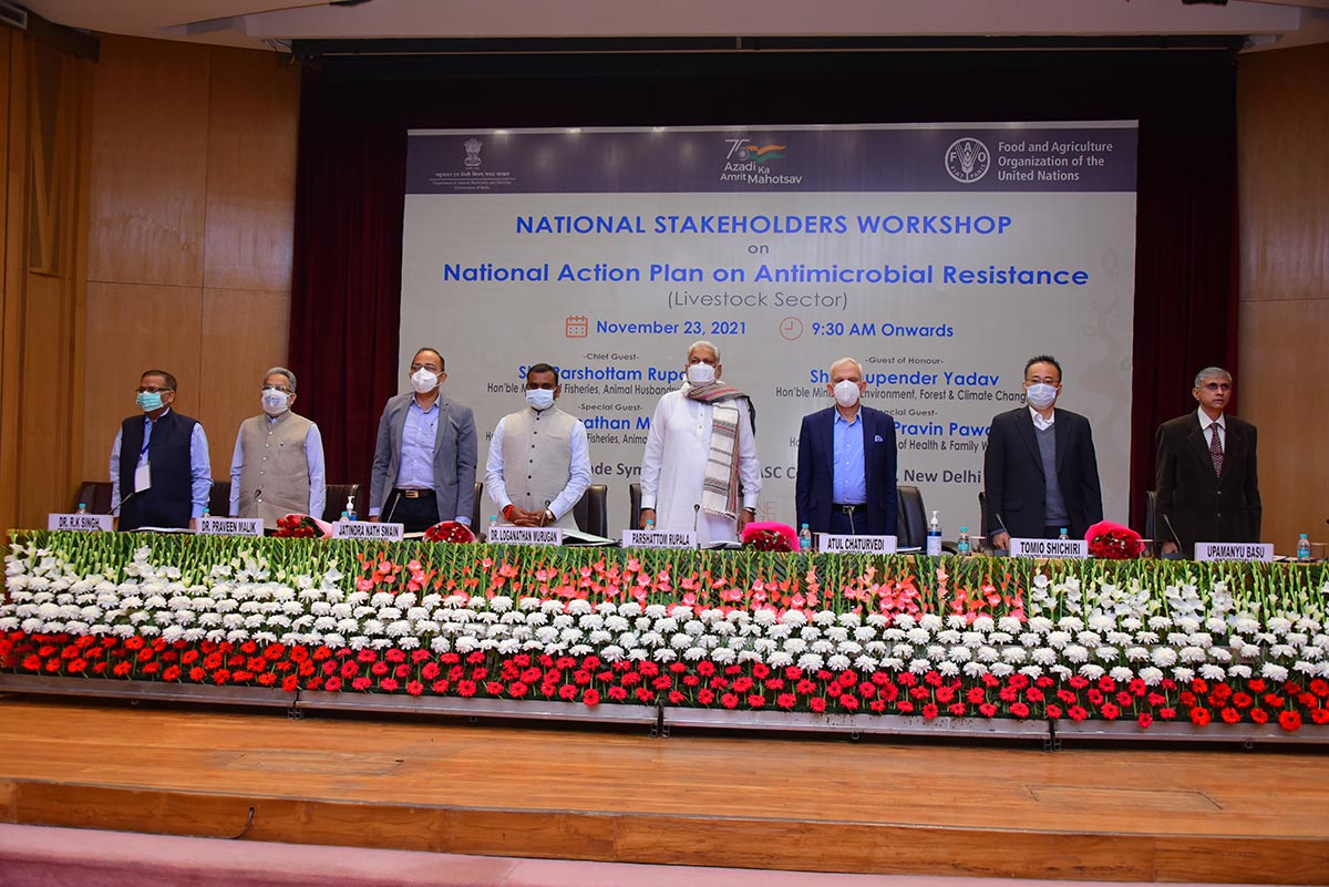 Gallery - Other events & programs